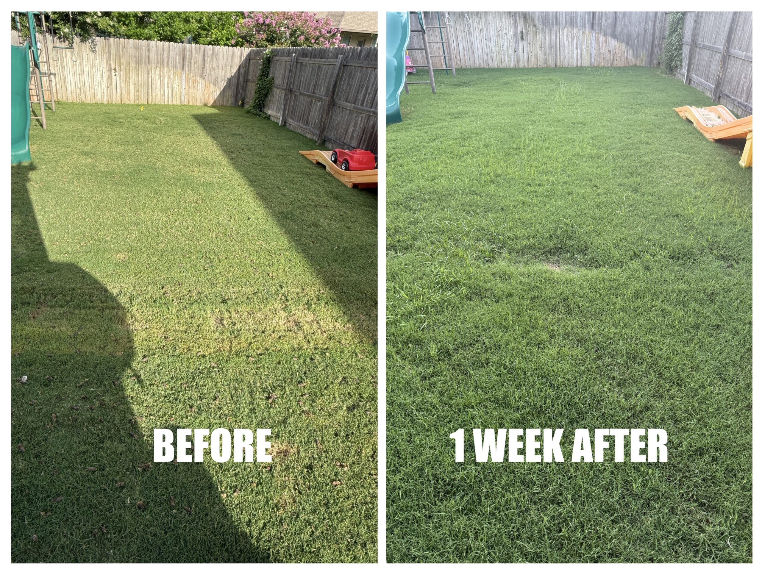 Professional Lawn Core Aeration | Flat-Rate Pricing | Bluebonnet Aeration