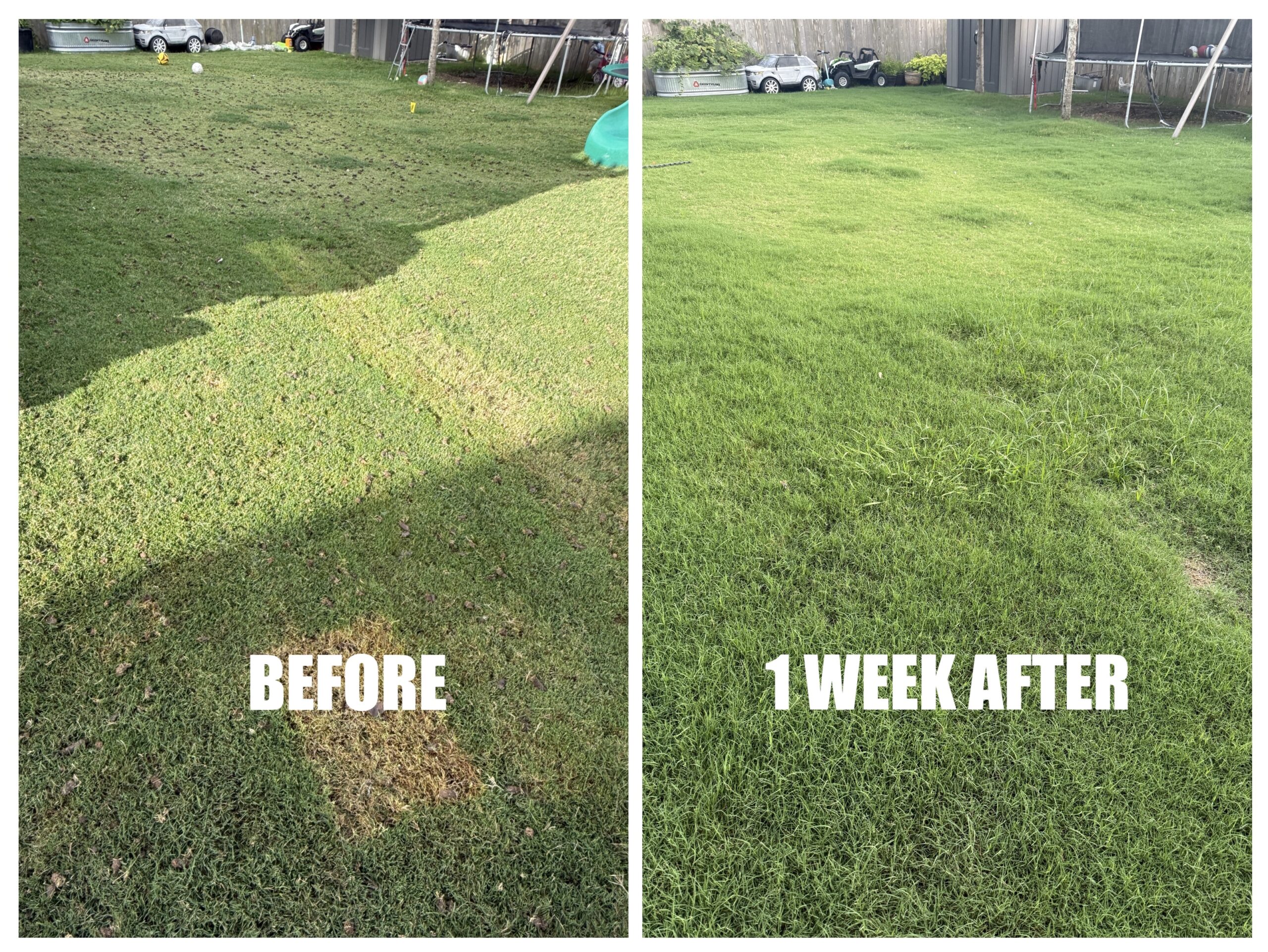 Professional Lawn Core Aeration | Flat-Rate Pricing | Bluebonnet Aeration